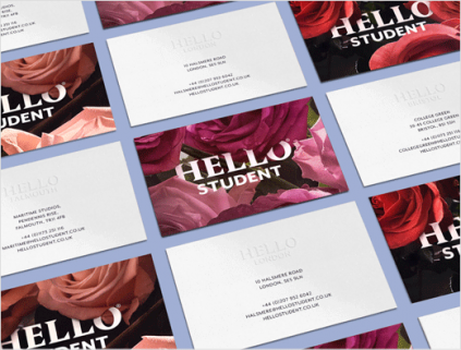 SomeOne Creates Branding for ‘Hello Student’ - Logo-Designer.co