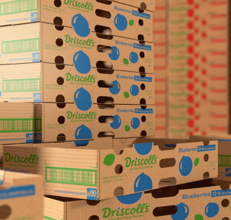 Berry Brand Driscoll’s Gets New Identity by Pearlfisher - Logo-Designer.co