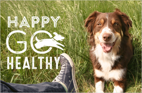 Spicefire Brands ‘Happy Go Healthy’ Dog Food Supplement - Logo-Designer.co