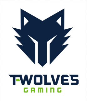 T-Wolves Gaming Franchise Unveils Logo Design - Logo-Designer.co