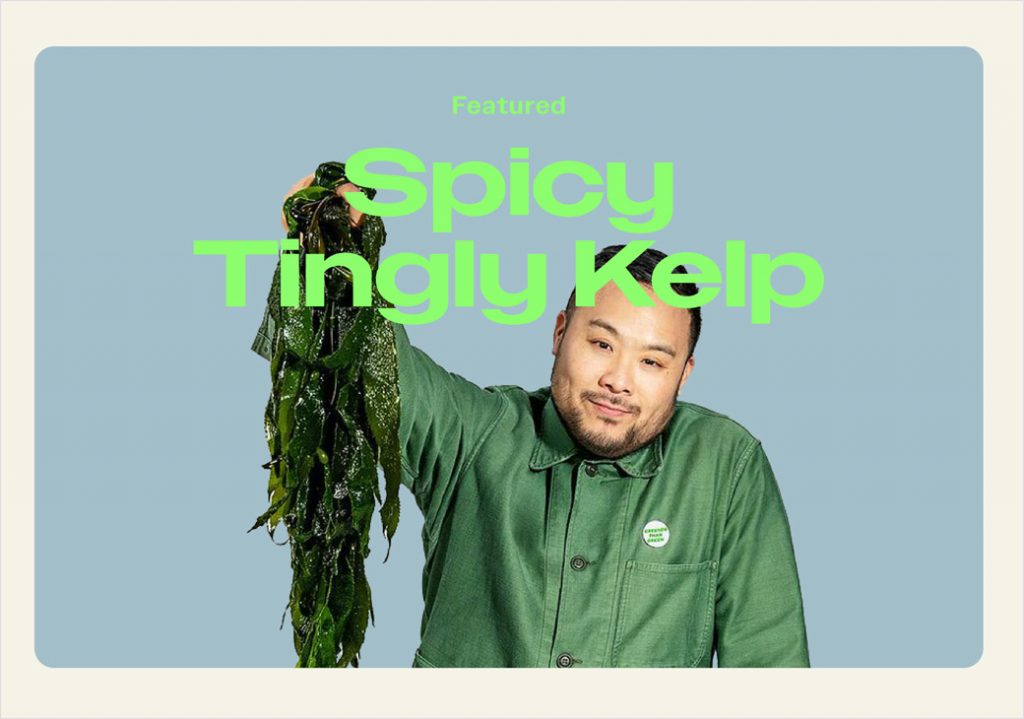sweetgreen Rebrands, Unveils New Logo and Identity - Logo-Designer.co