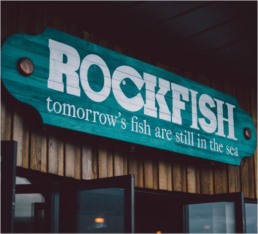 Springetts Creates Logo and Branding for ‘Rockfish’ Restaurant - Logo ...