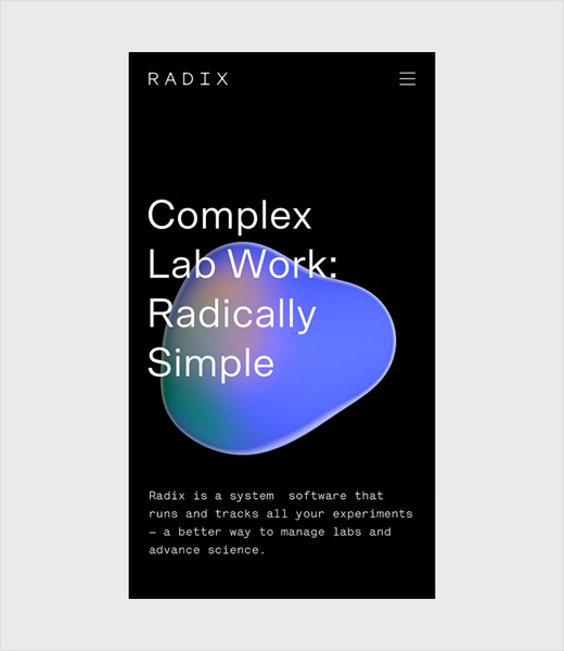 Landscape Unveils New Identity for Sci-Tech Company – 'Radix' - Logo ...